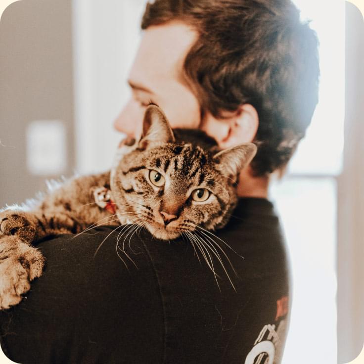 Lifetime Pet Insurance For Dogs & Cats | Perfect Pet