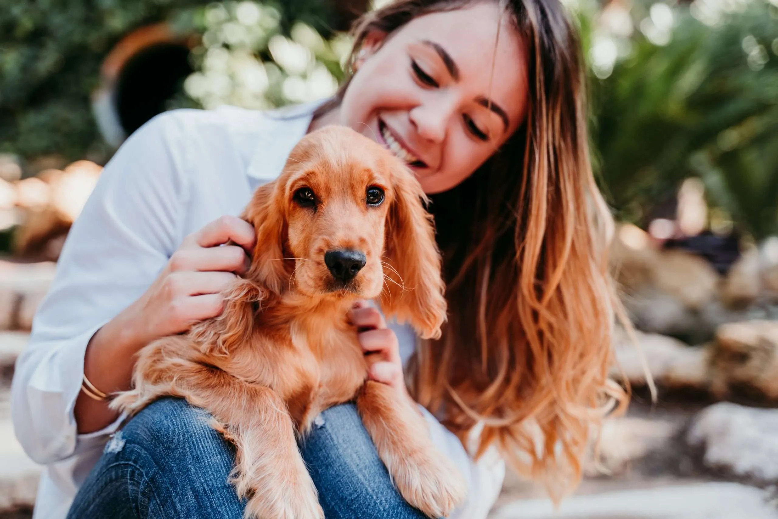 Pet Insurance For Dogs & Cats - We Speak Pet | Perfect Pet